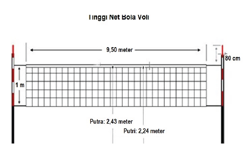Bola Voli: Kenali Beda Net & Bolanya untuk Putra dan Putri | Telkomsel