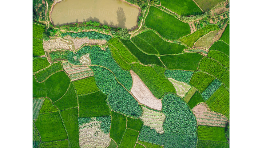 10 Macam Angle Fotografi, Ada yang Bikin Keliatan Tinggi! | Telkomsel