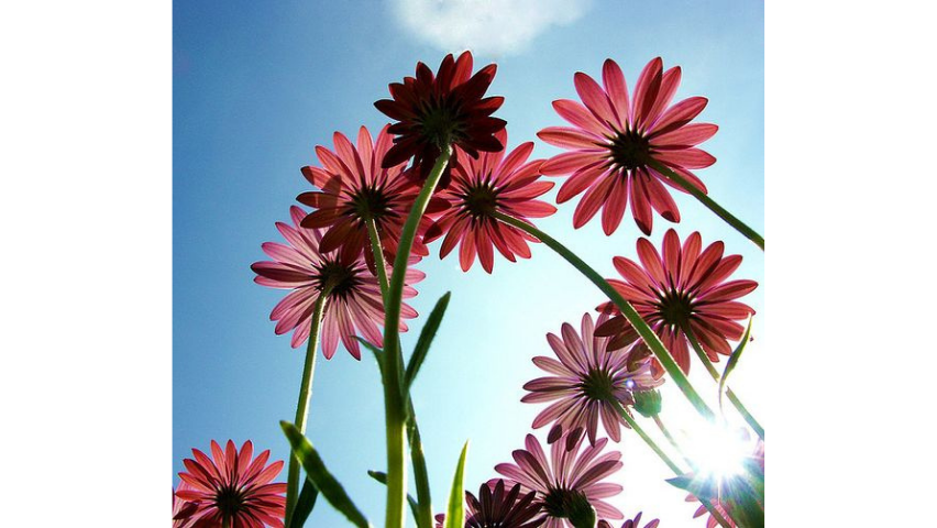 10 Macam Angle Fotografi, Ada yang Bikin Keliatan Tinggi! | Telkomsel