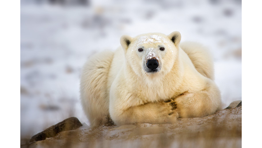 10 Macam Angle Fotografi, Ada yang Bikin Keliatan Tinggi! | Telkomsel